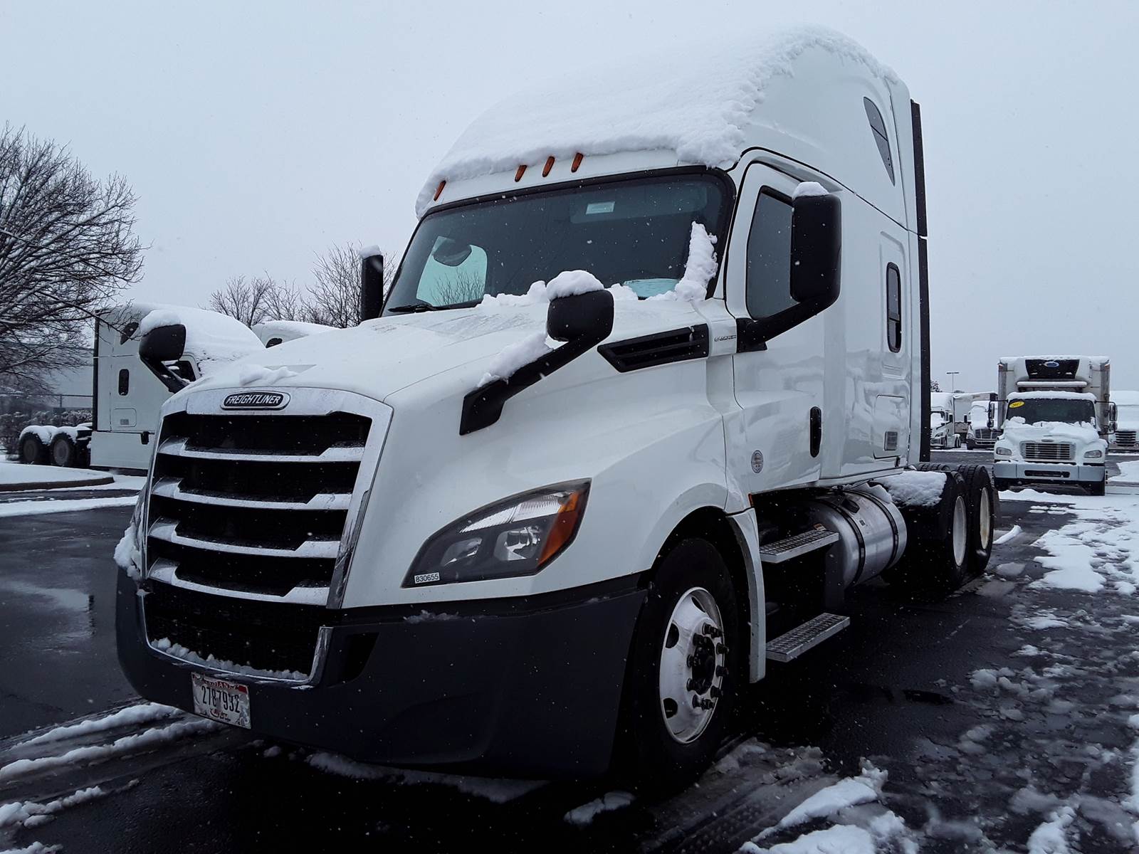 2019 Freightliner Cascadia 126 Sleeper Semi Truck - 72" Condo Sleeper ...